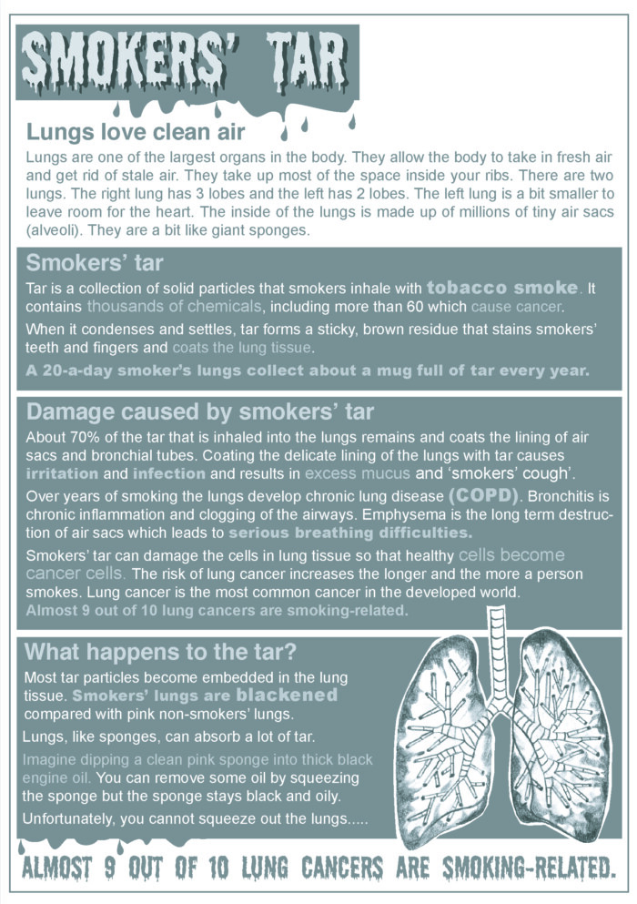 Smoker’s Tar Fact Sheets – GASP